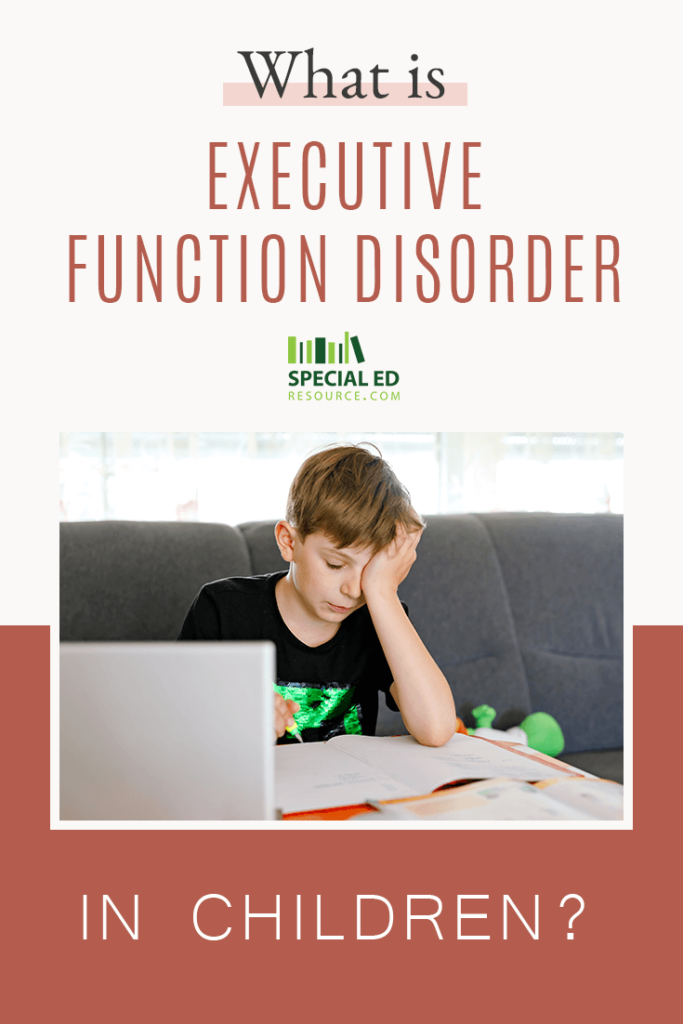 What is Executive Function Disorder in Children?