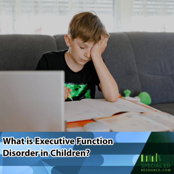 What is Executive Function Disorder in Children?