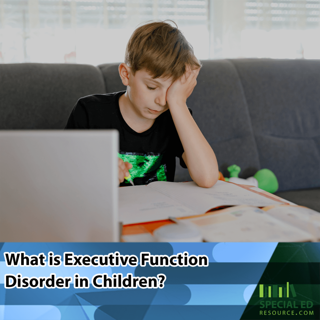 What is Executive Function Disorder in Children?